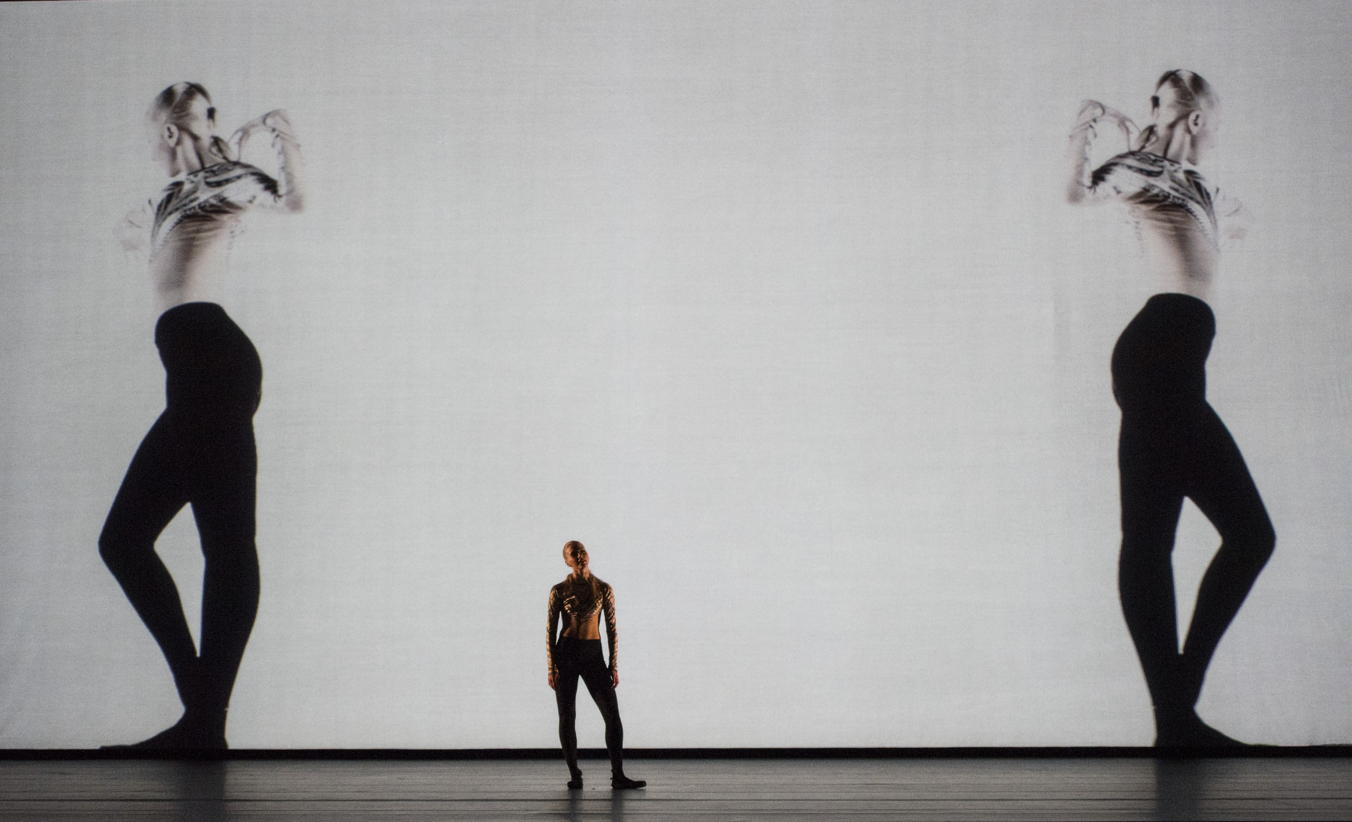 Dance Salad Festival 2015 Gallery
